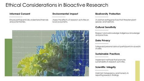 Categories Of Bioactive Compounds In Plants Ppt Outline Acp Ppt Example