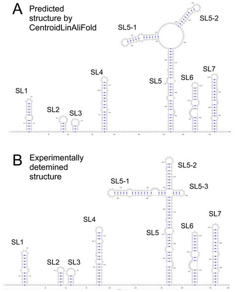Linalifold And Centroidlinalifold Fast Rna Consensus Secondary Structure Prediction For Aligned