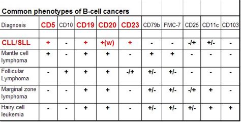 Pin On Medical School Stuff