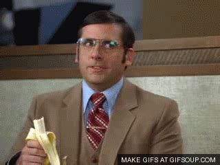 Anchorman GIFs Find Share On GIPHY