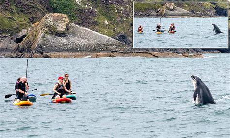 Tash Mosheim All Their Latest Coverage Daily Mail Online