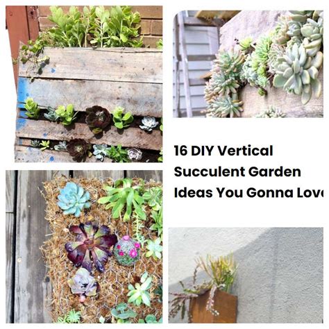 16 DIY Vertical Succulent Garden Ideas You Gonna Love SharonSable