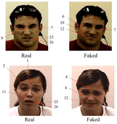 Sample Facial Behavior And Facial Action Codes From The Real And Faked