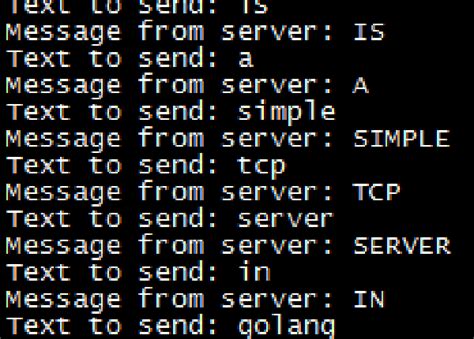 A Simple Go Tcp Server And Tcp Client Systembash