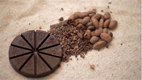 Elevate Your Cacao Ritual With Our Authentic Molinillo