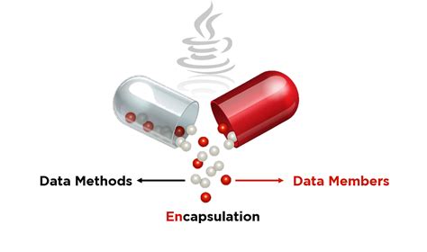 Encapsulation In Object Oriented Programming Techinsightsblog