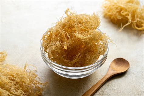 Best Sea Moss Supplements Top 5 Brands Most Recommended By Health Experts