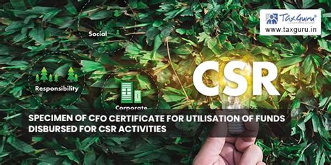 Specimen Of Cfo Certificate For Utilisation Of Funds Disbursed For Csr