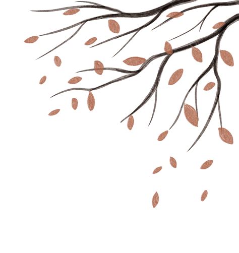작은 나뭇가지 작은 나무 나뭇가지 나무가지 Png 일러스트 및 이미지 에 대한 무료 다운로드 Pngtree