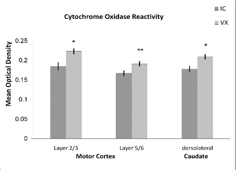 Figure 1 From Frontiers In Aging Neuroscience Aging Neuroscience Semantic Scholar