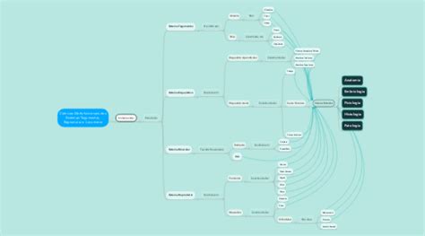 Ciências Morfofuncionais dos Sistemas Tegumentar MindMeister Mapa Mental