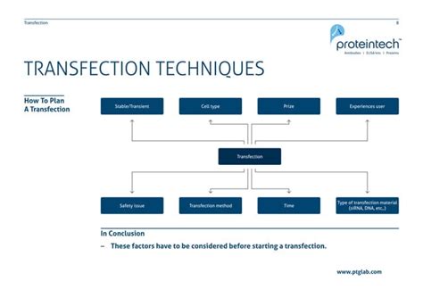 Transfection Techniques Overview And Technical Tips Ppt