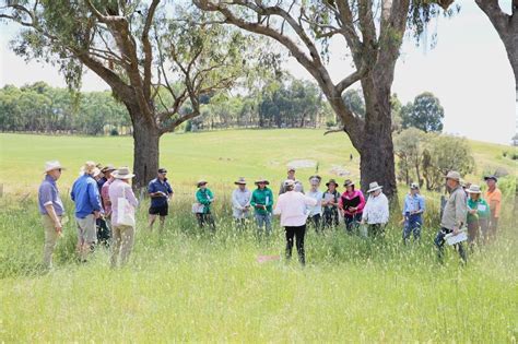 Kiewa Catchment Landcare Network Picture Credit Received A 2023