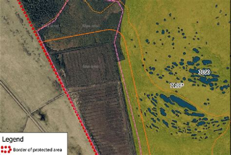 Habitats Listed In Appendix I Of The Habitats Directive And Their