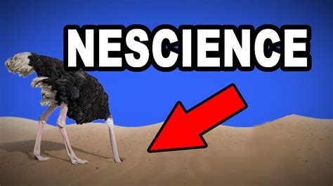 😕 Learn English Words Nescience Meaning Vocabulary Lesson With