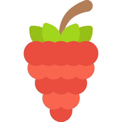 Raspberry Generic Flat Icon