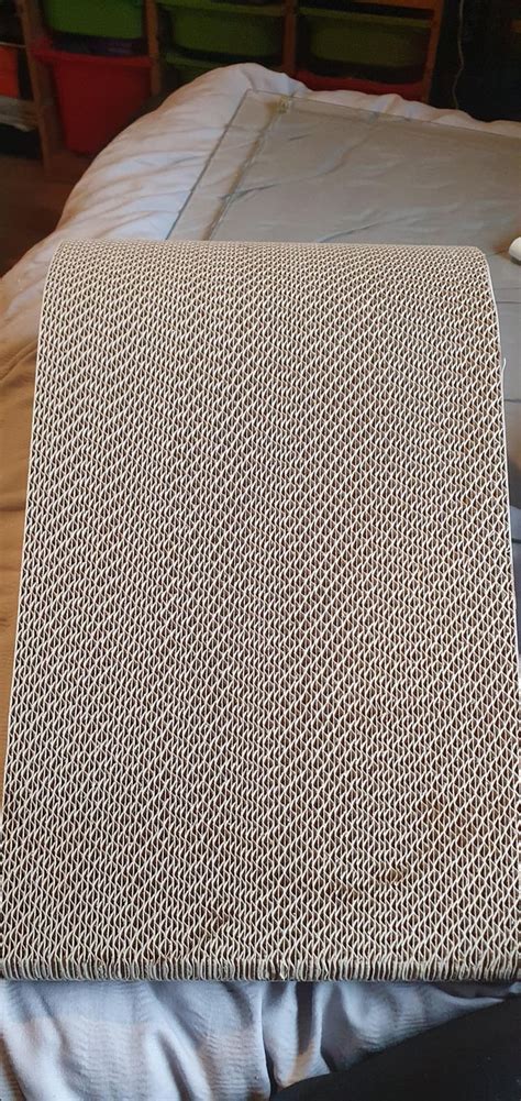 How Safe Do You Think This Cat Scrath Ramp Is R Beardeddragons