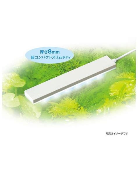 Gex Clear Led Flatty White 小巧、明亮、纖薄的高強度 Led 海之森水族