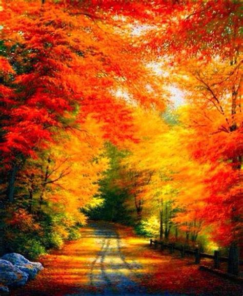 October Fall Pictures Nature Pictures Fall Pics Amazing Nature