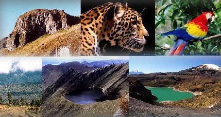 Uso Y Conservacion De Los Recursos Naturales Uso Conservacion De Los Recursos Naturales