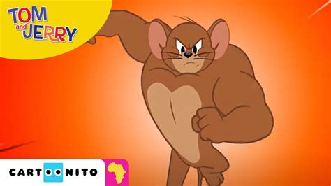 Tom And Jerry Buff Tom At Daniel Hodges Blog