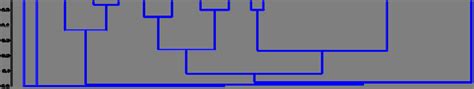 eric dendrogram utilizing the bionumerics fingerprint analyst software
