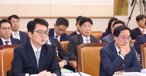 심우정 특정사건 수사 검사 탄핵하면 검찰 중립성에 영향