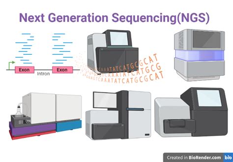 Ngs Definition Principle Types Methods Step Applications