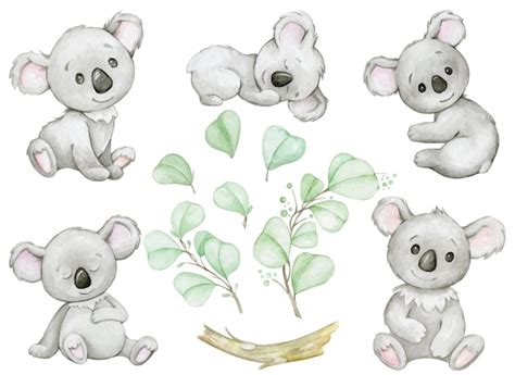 Les koalas les ours les plantes l aquarelle le style dessin animé