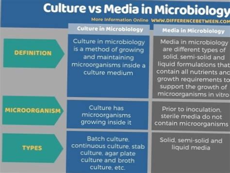 What Is The Difference Between Solid And Broth Media 2025 QAQooking Wiki