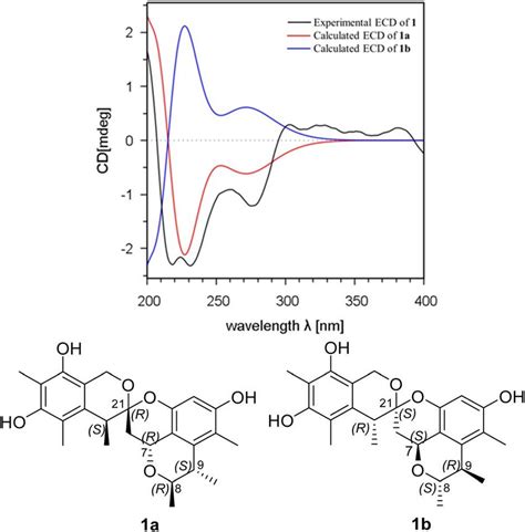 Experimental Ecd Spectrum Of 1 In Meoh And The Calculated Ecd Spectra