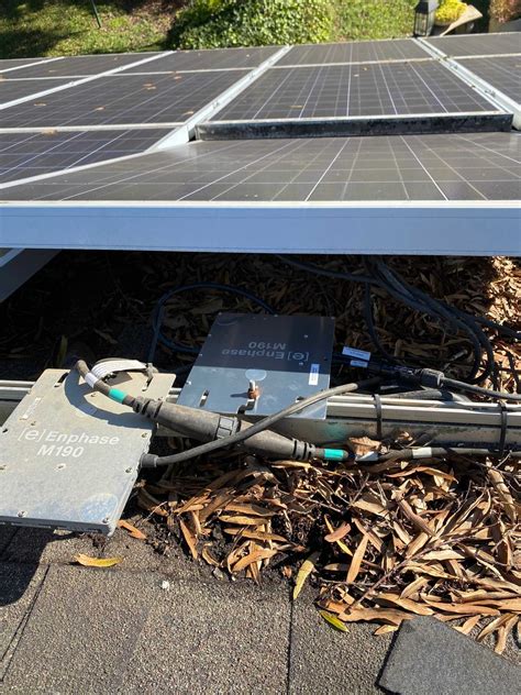 Do I Need A Critter Guard Solar Alternatives Inc
