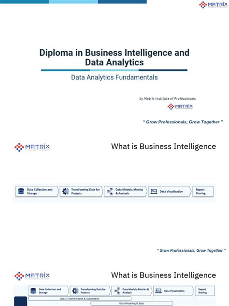 Data Analytics Fundamentals Pdf Level Of Measurement Business Intelligence