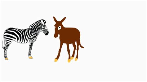 Detail Gambar Kartun Zebra Koleksi Nomer 12