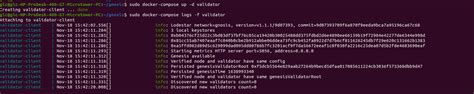 Improve Validator Status Logging · Issue 4785 · Chainsafelodestar