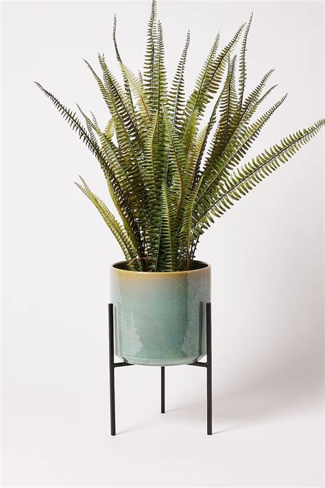 Indoor Plant Pots Oliver Bonas Artofit