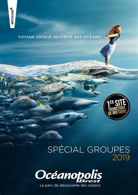 Calaméo Brochure Spécial Groupes Océanopolis