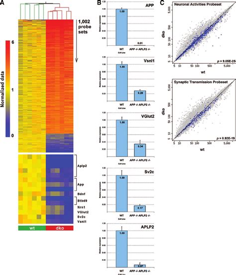 Gene Centric And Pathway Centric Gene Set Enrichment Analysis