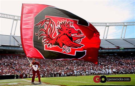South Carolina Gamecocks Football Wallpapers Wallpaper Cave