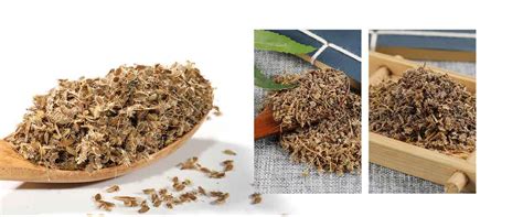 He Shi Heshi He Shi Herb Heshi Herb He Shi Tcm A La Venta