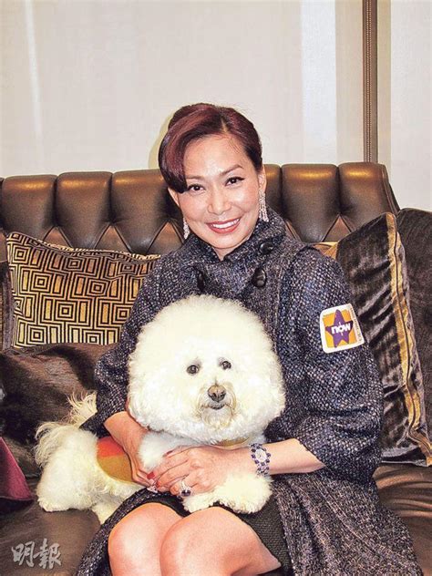鄺美雲：南無阿彌陀佛 哀痛愛犬cash病逝 20171205 Showbiz 明報 Our Lifestyle