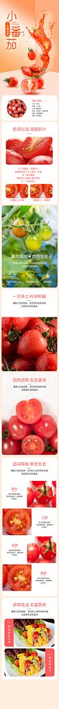 蜜橘详情页