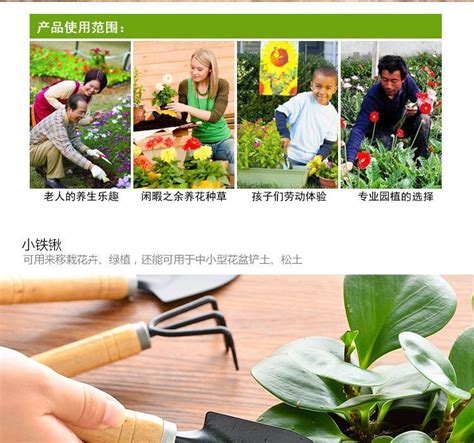 园艺工具套装多肉盆栽植物松土迷你三件套种花养花喷壶日用百货 阿里巴巴