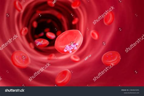 Malaria Plasmodium Malariae Infection 3d Illustration Stock Illustration 2382823291 Shutterstock