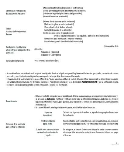 Código Nacional Procedimientos Penales Comentado Y Correlacionado 2024