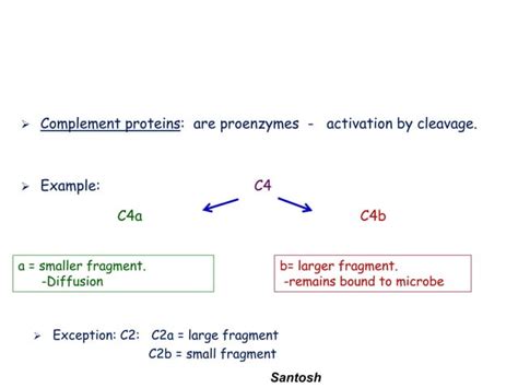 Complement System PPTX