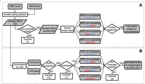 Overall Flow Chart Of The Two Stage Analysis Strategy A De Novo