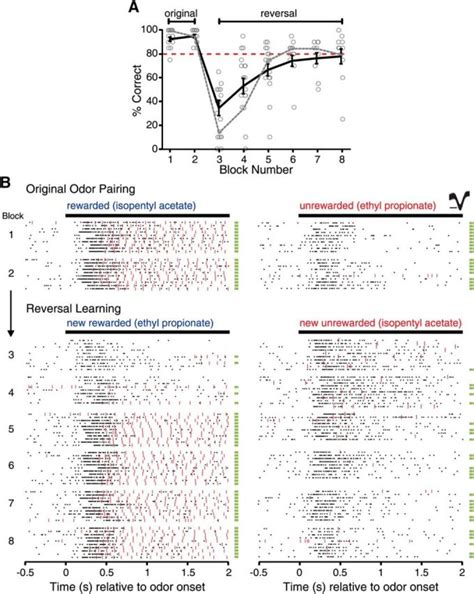 The Olfactory Tubercle Encodes Odor Valence In Behaving Mice Pmc
