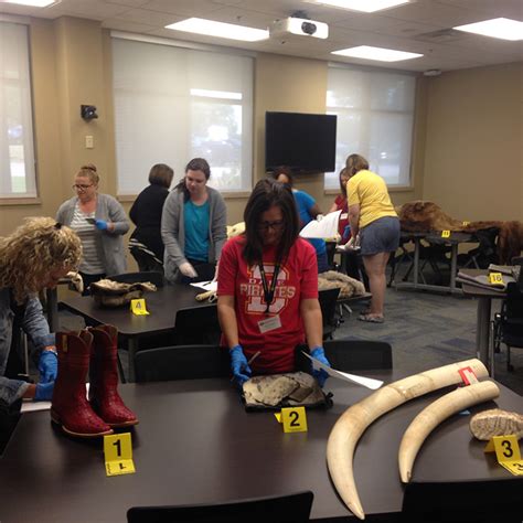 Uco Curriculum Training For Teachers