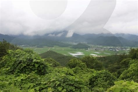 장흥 상선약수마을 정보 그리고 주변 관광지 맛집 행사